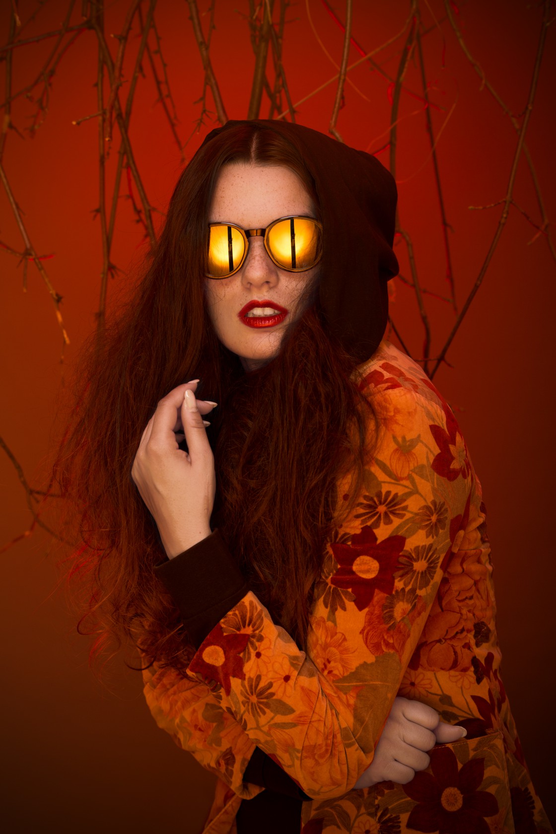 red cat | NICKPUTZMANN.COM